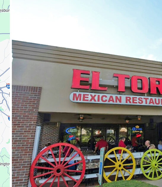 best enchiladas kentucky restaurant ftr