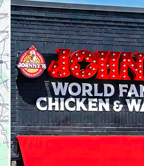 best georgia fried chicken ftr