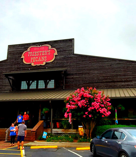 best homemade pies alabama ftr