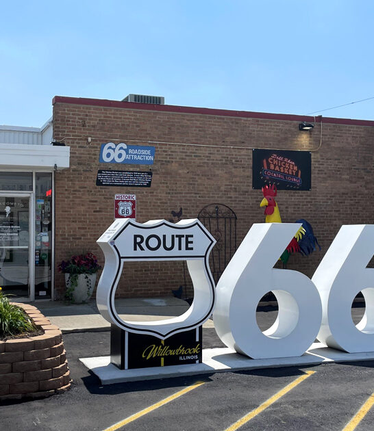 best illinois chicken ftr