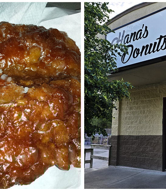 best kansas apple fritters FTR