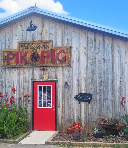 best north carolina barbecue ftr