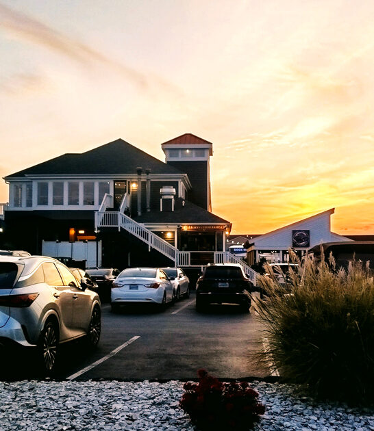 best oysters maryland ftr