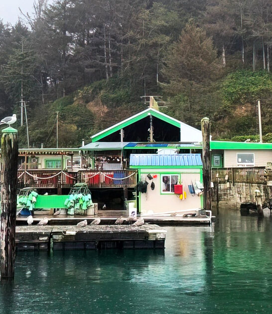 best oysters oregon ftr