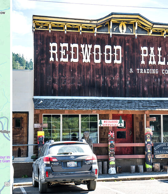 best ribeye steaks california ftr