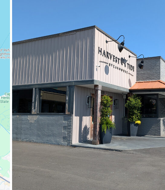 best ribeye steaks delaware ftr