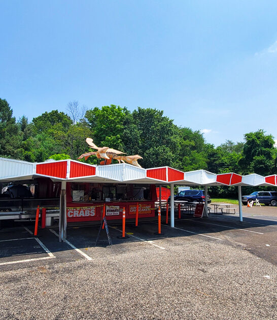 best seafood new jersey ftr