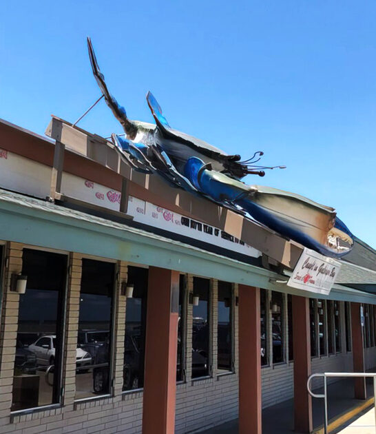 best seafood texas ftr