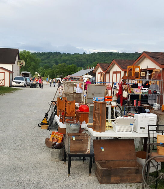 big flea market indiana ftr