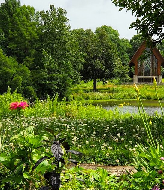 botanical garden missouri ftr