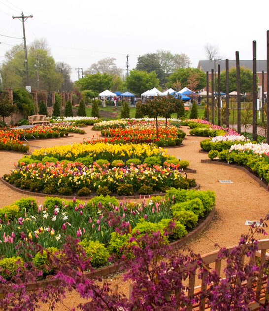 botanical garden north carolina ftr