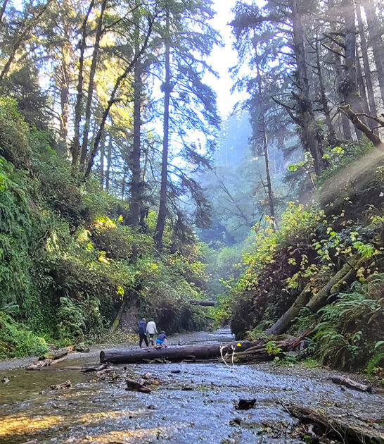 california 14000 acre park ftr