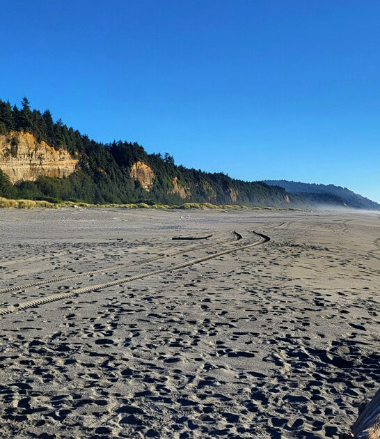 california beautiful state park ftr