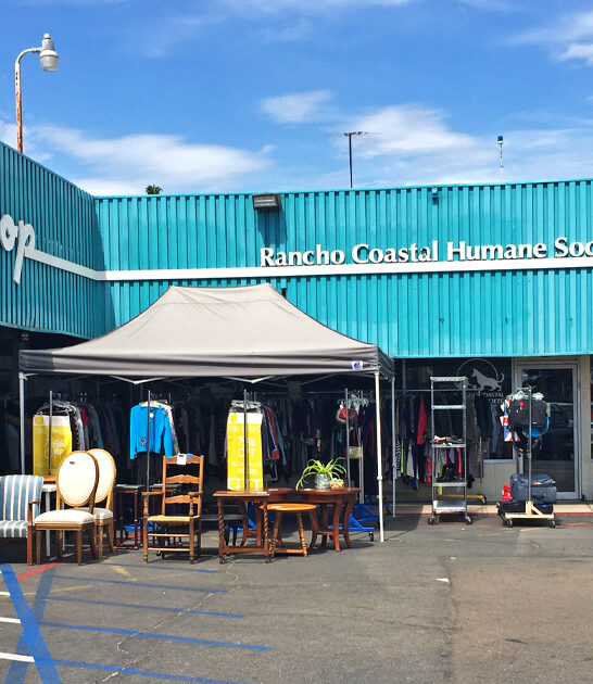 california enormous thrift store ftr