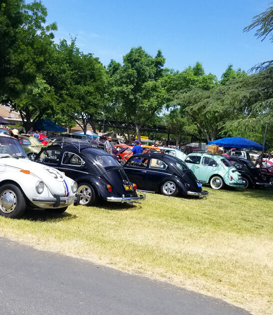 california hunt flea market ftr