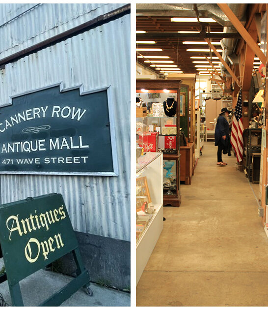 california wonderland rare treasures ftr