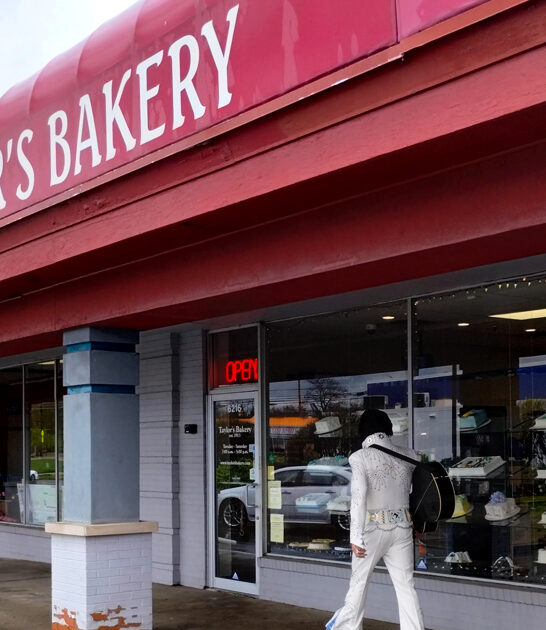carrot cakes bakeshop indiana ftr