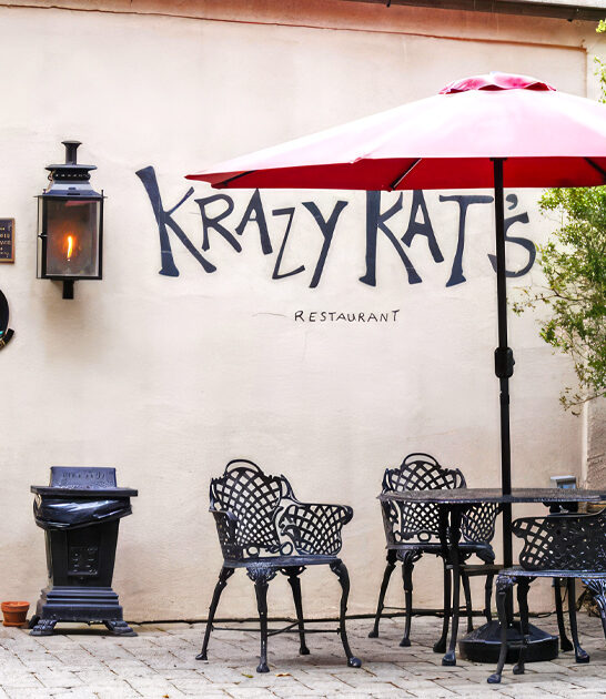 cat themed delaware restaurant ftr
