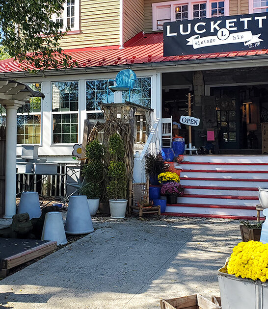 charming antique shop virginia ftr