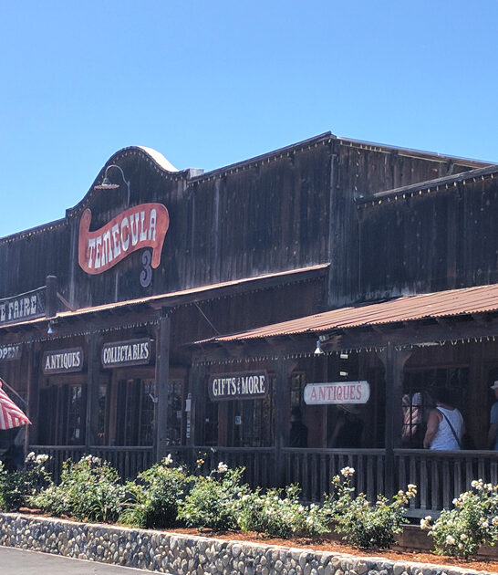 charming california candy store ftr