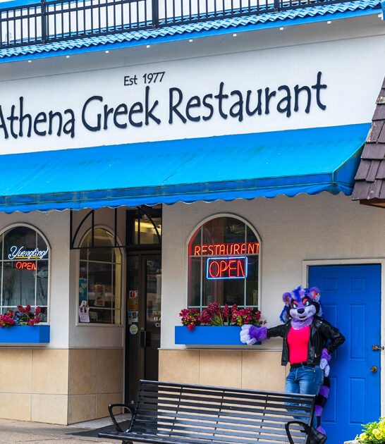charming diner ohio gyros ftr