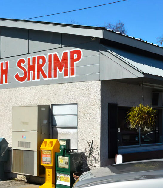 charming oyster house georgia ftr