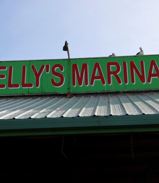 charming oyster house oregon ftr