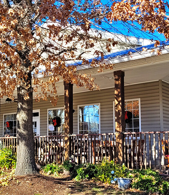 chicken north carolina fried ftr