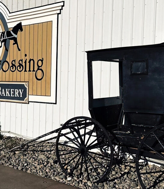 cinnamon rolls bakeshop kansas ftr