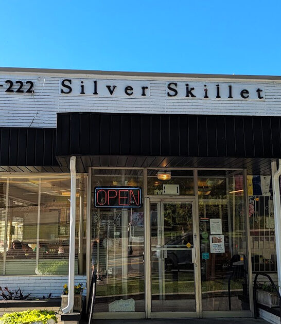 comfort food georgia diner ftr