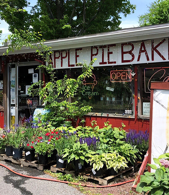 cream pies pennsylvania bite ftr