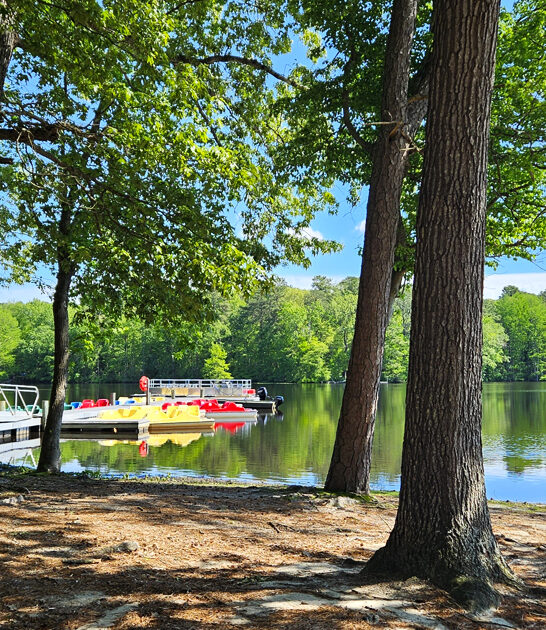 delaware 3900 acre park ftr