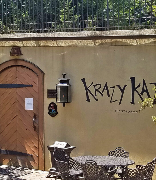 delaware cat themed restaurant ftr