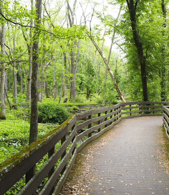delaware gorgeous state park ftr