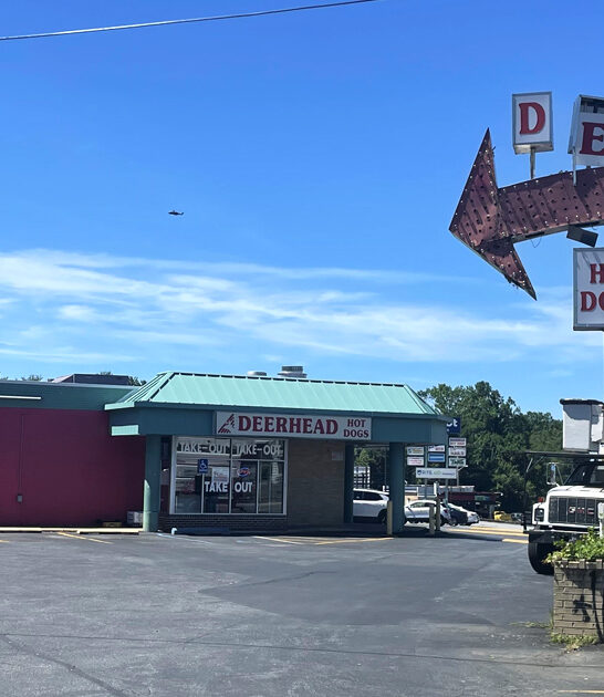 delaware hot dog joints ftr