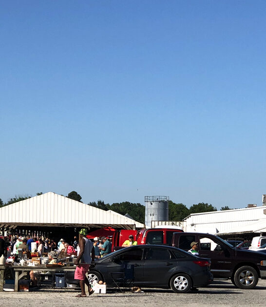 delaware hunt flea market ftr