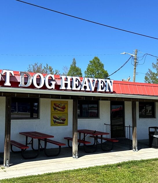 delicious chili dogs florida ftr