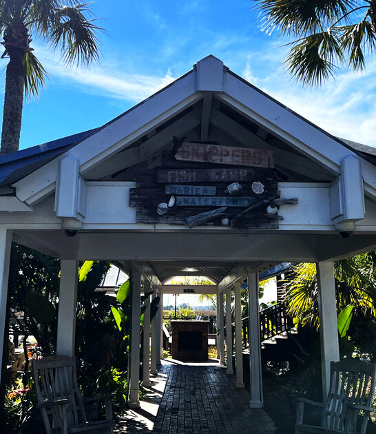 delicious crab cakes georgia ftr