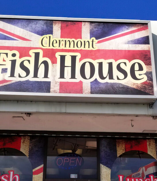 delicious florida fish chips ftr