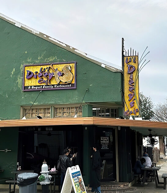 delicious fried chicken louisiana ftr