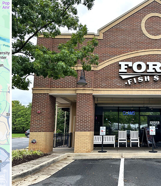 delicious fried cod virginia ftr