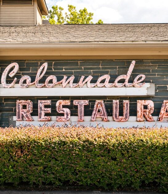 delicious georgia chicken ftr