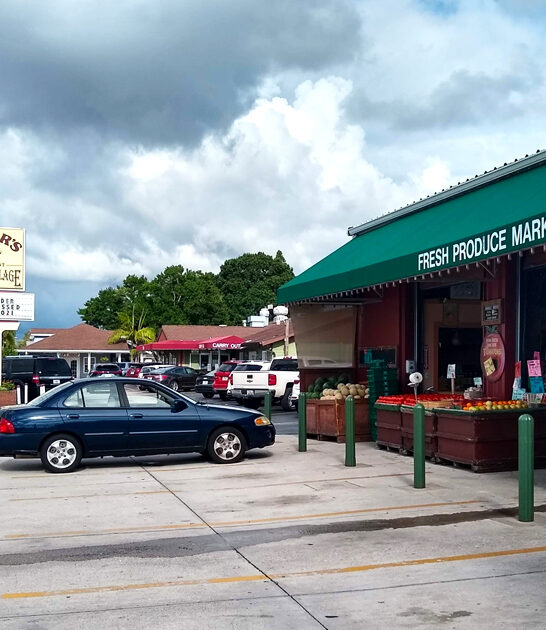 delicious homemade pies florida ftr
