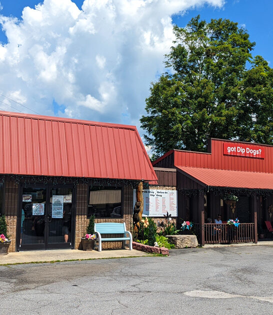 delicious hot dog virginia ftr