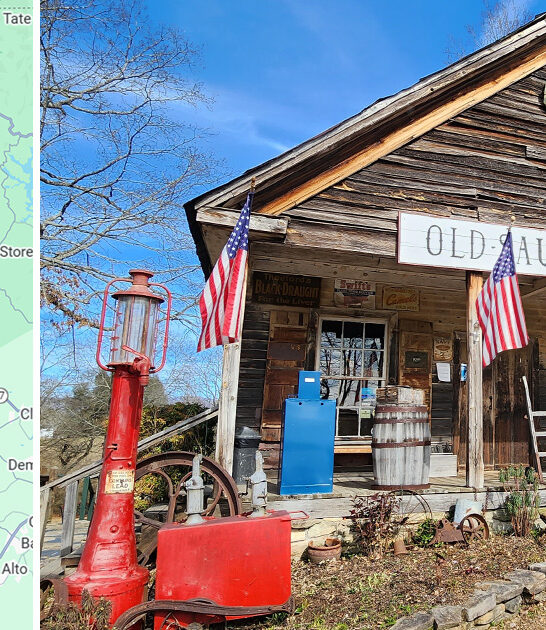 delicious sandwiches georgia ftr