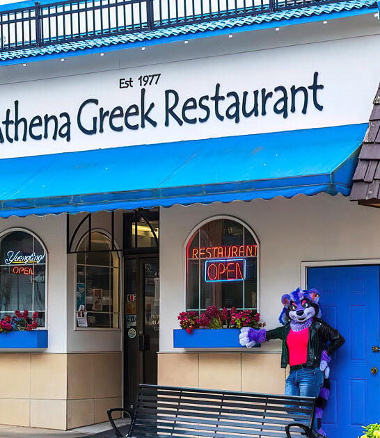 diner ohio gyros ftr