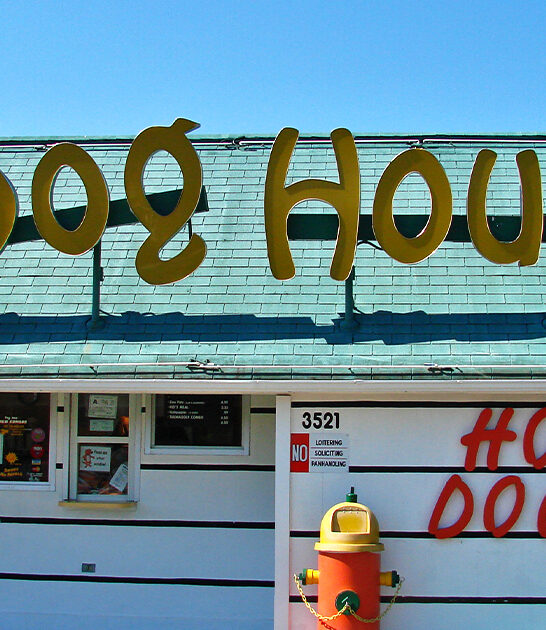 dog hot north carolina ftr