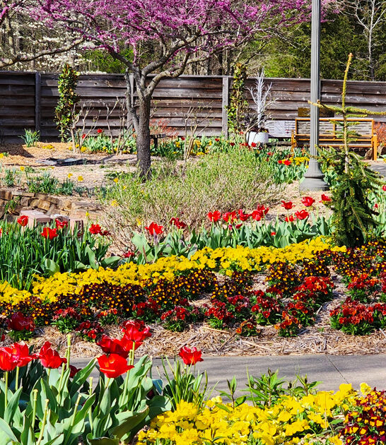 dreamy botanical garden arkansas ftr