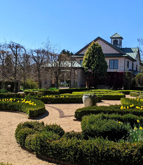 dreamy garden north carolina ftr