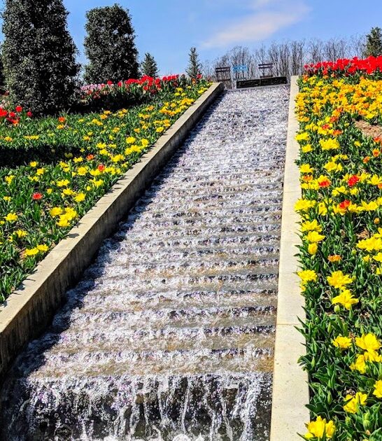 dreamy garden oklahoma ftr
